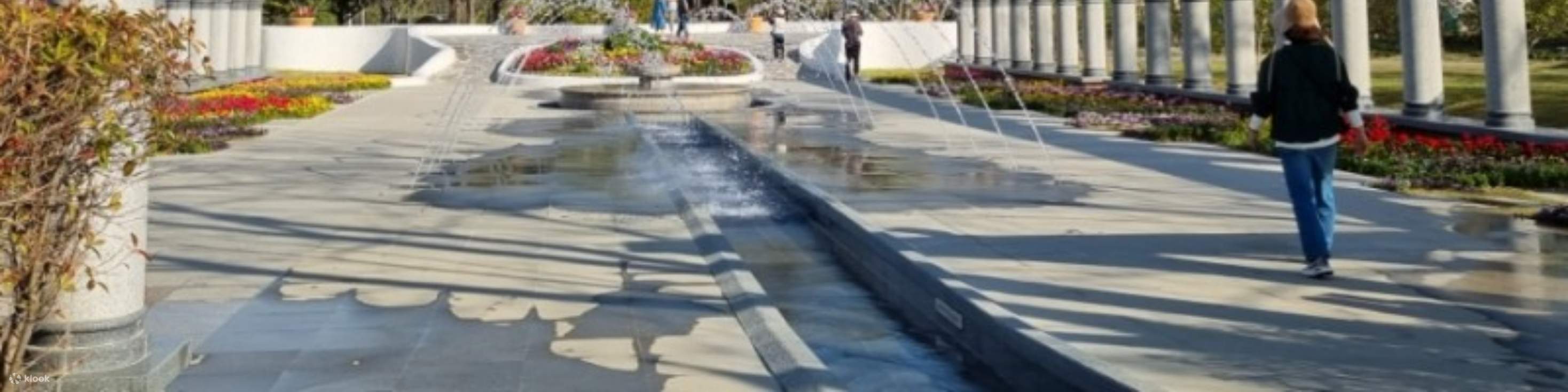 Boseong Tea Plantation & Suncheon National Garden[Train+Bus] - Klook